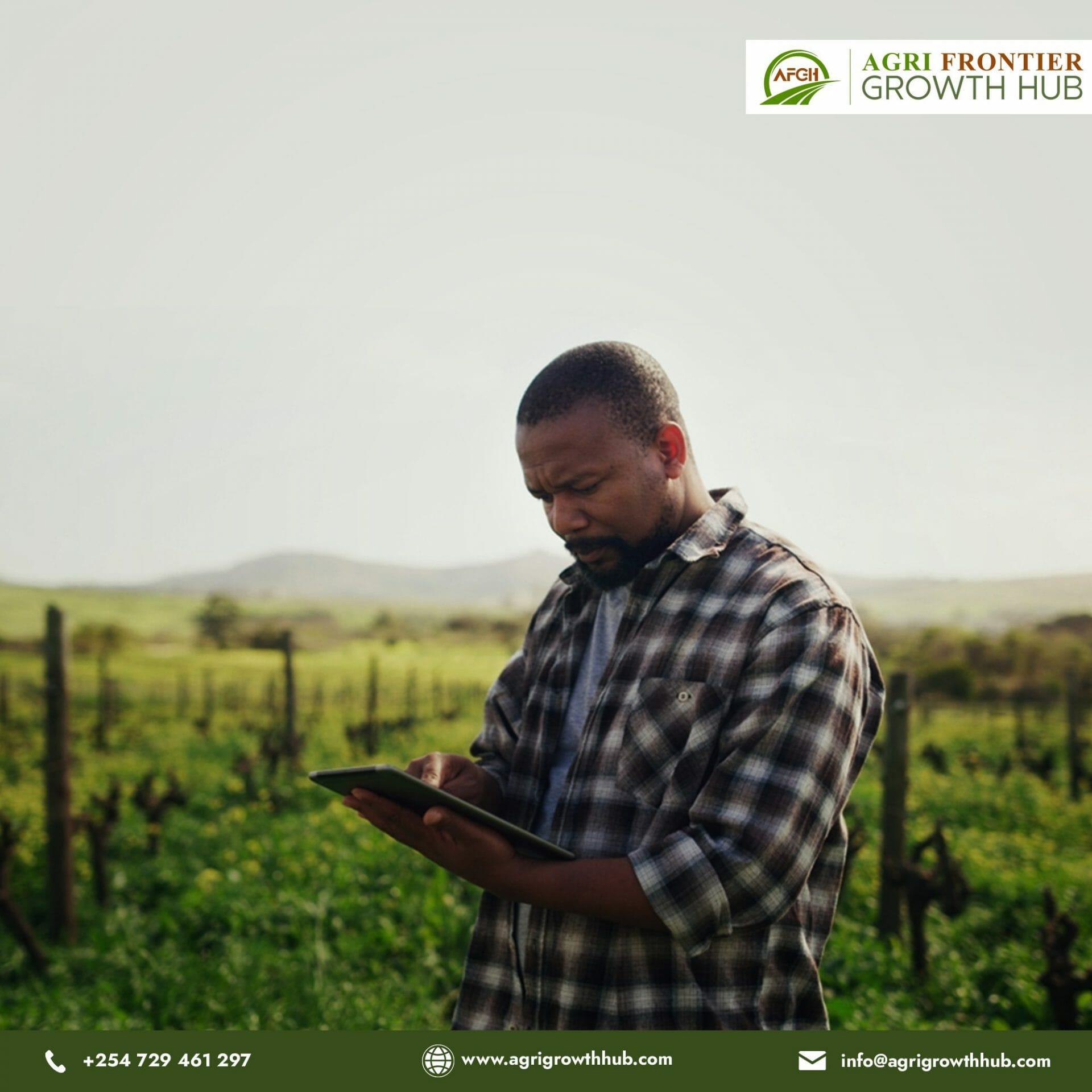 Steps Agribusinesses Can Take to Foster Sustainability in Agriculture ...