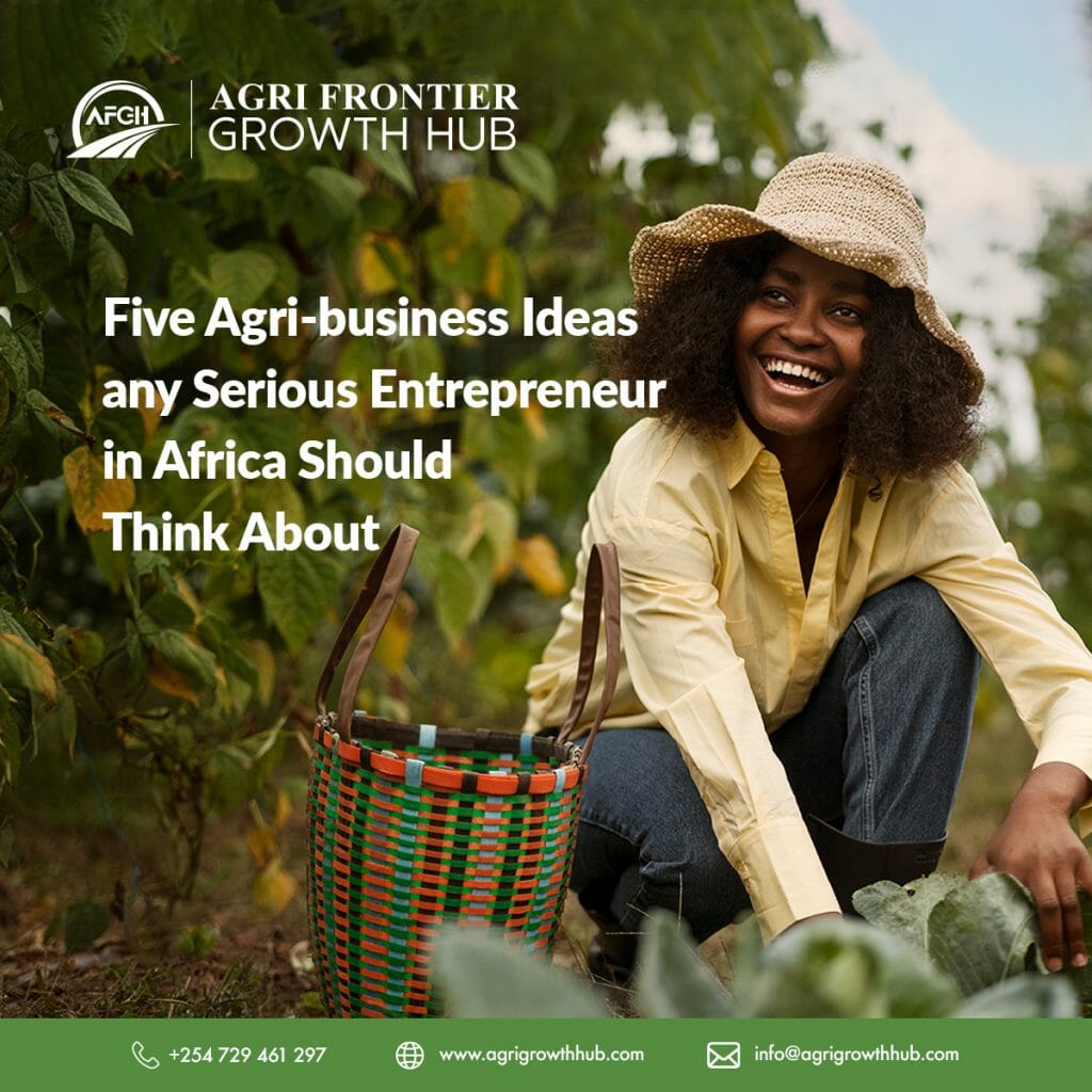Five Agri-business Ideas to consider in Africa - Agri Frontier Growth Hub